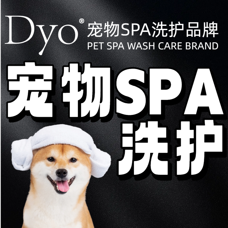 Full-price crispy cat food with single chicken recipe | Beijing Cloud ...