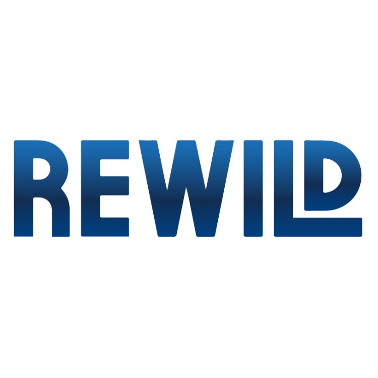 About | Rewild | Pet Fair Asia Showroom