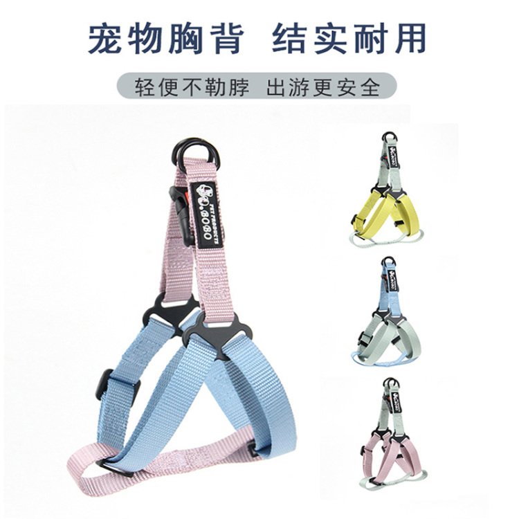 About | Shaoxing BOBO Pet Articles Factory | Pet Fair Asia Showroom