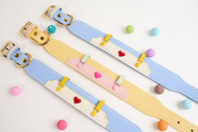 Kindergarten collar | P.PET CUSTOMIZATION | Pet Fair Asia Showroom