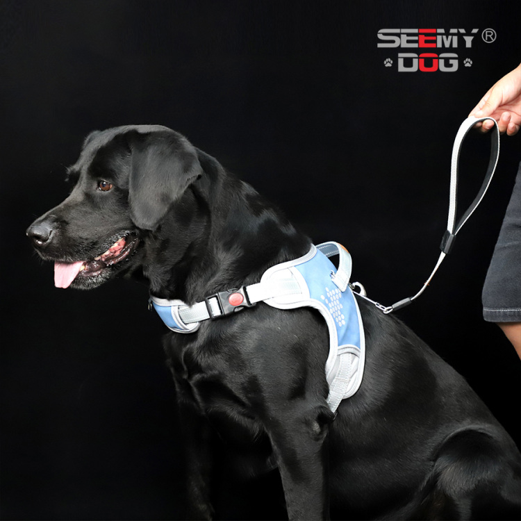 PET leash | Rui'an shengyang pet products co.,ltd | Pet Fair Asia Showroom
